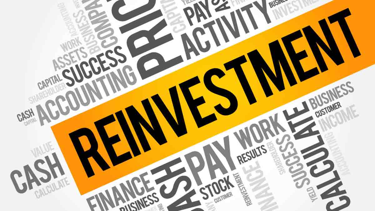 A Practical Guide to Dividend Reinvestment Plans | Wealth Within