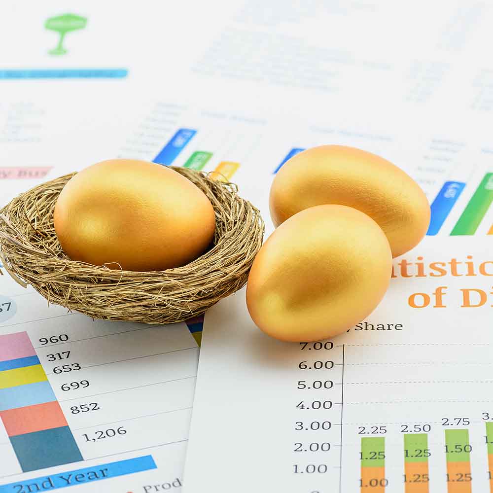 How to Build a Diversified Investment Portfolio | Wealth Within